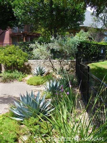 Texas Native Landscapes Gallery - Dubberley Landscape