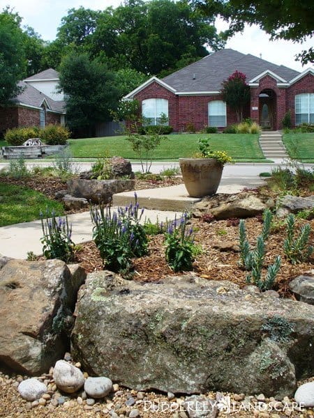 Texas Native Landscapes Gallery - Dubberley Landscape